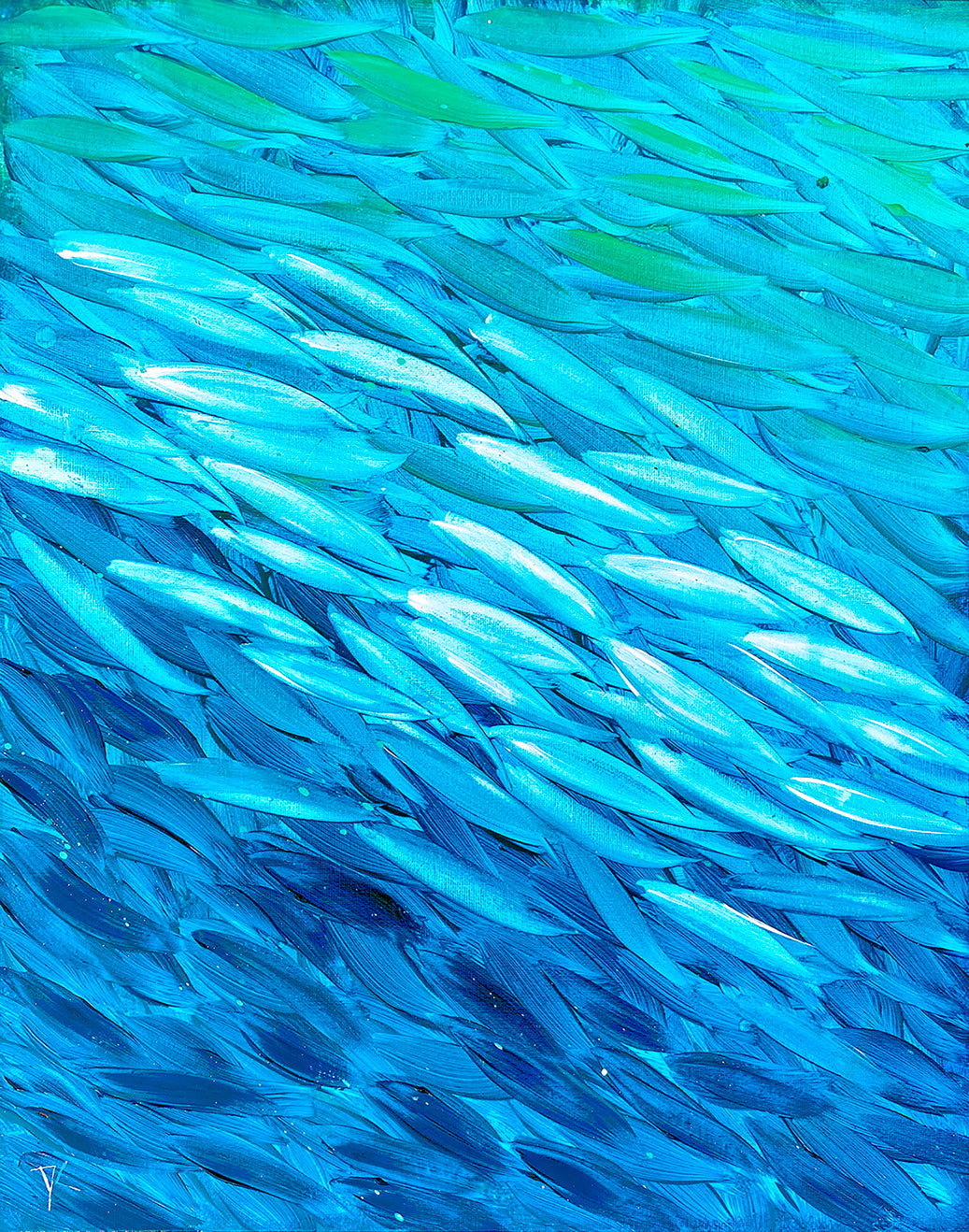 Fish – David Clare Art