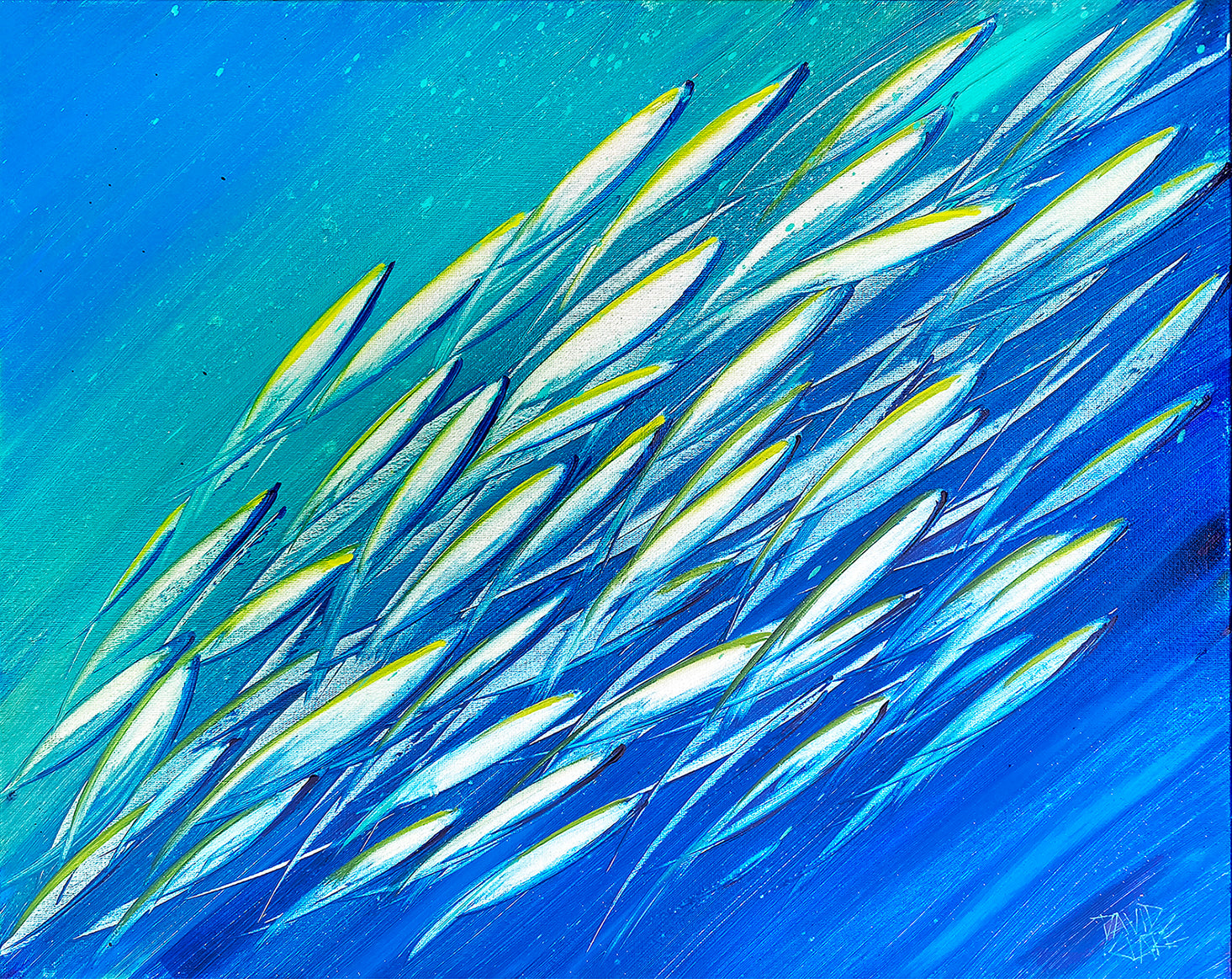 Fish – David Clare Art