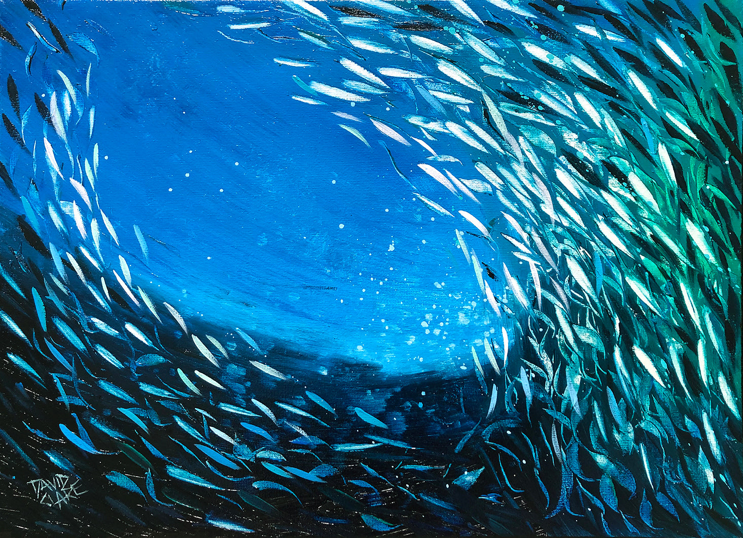 Fish – David Clare Art
