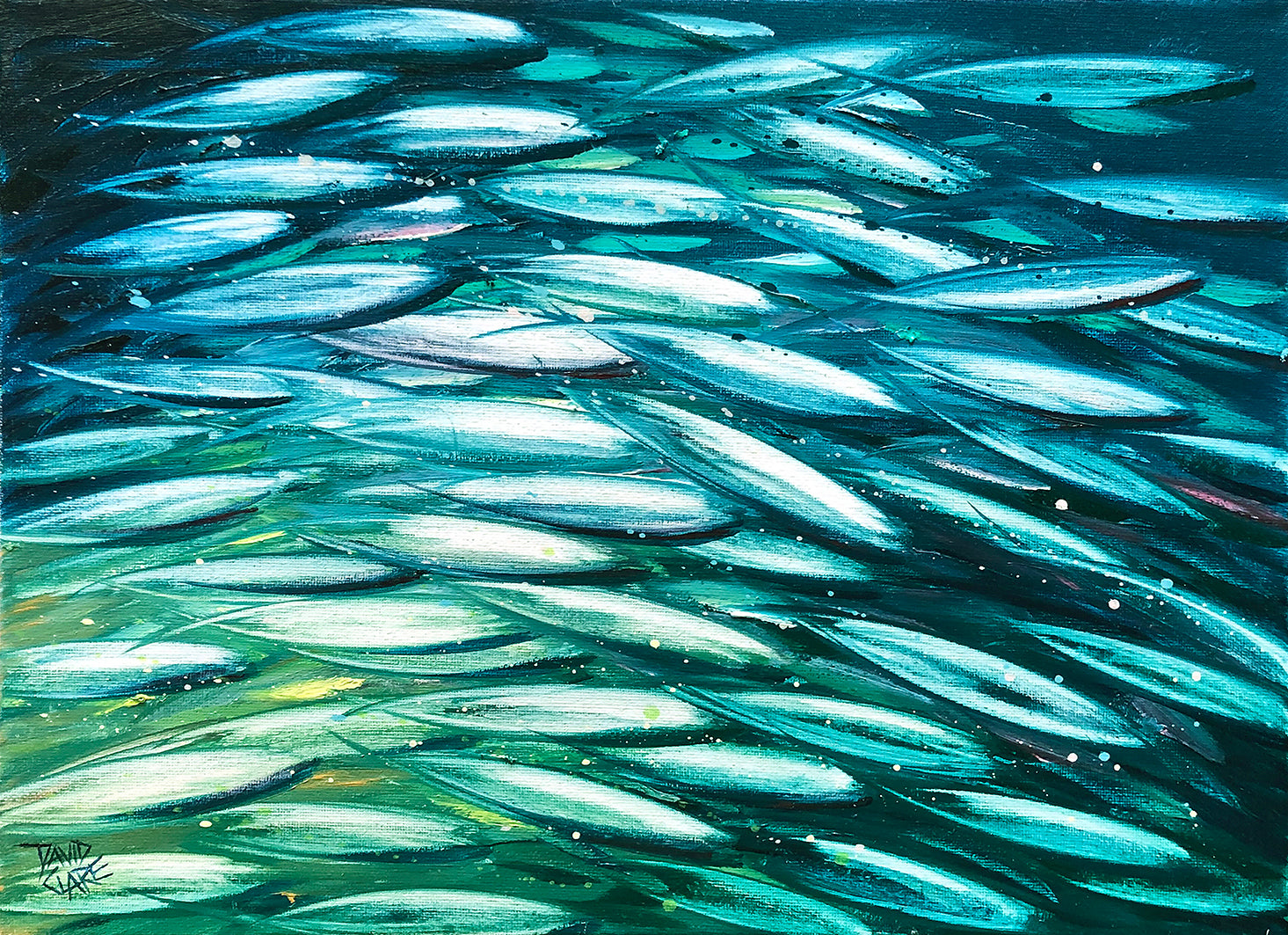 Fish – David Clare Art