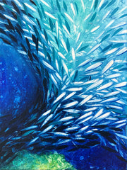 Fish – David Clare Art