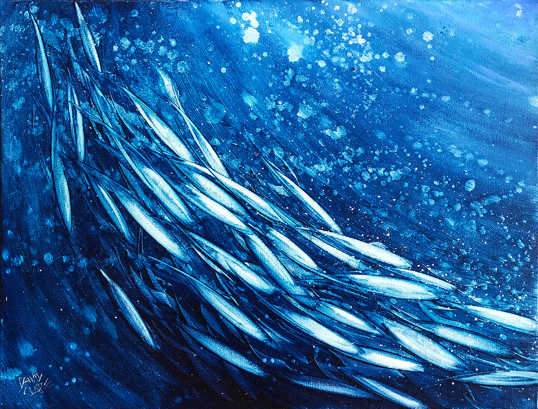 Fish – David Clare Art