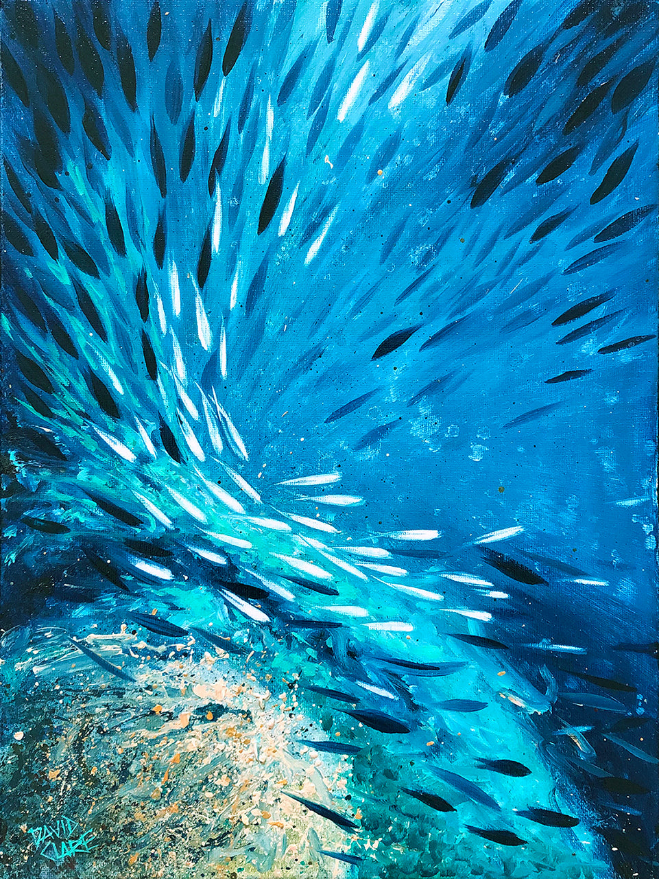 Fish – David Clare Art