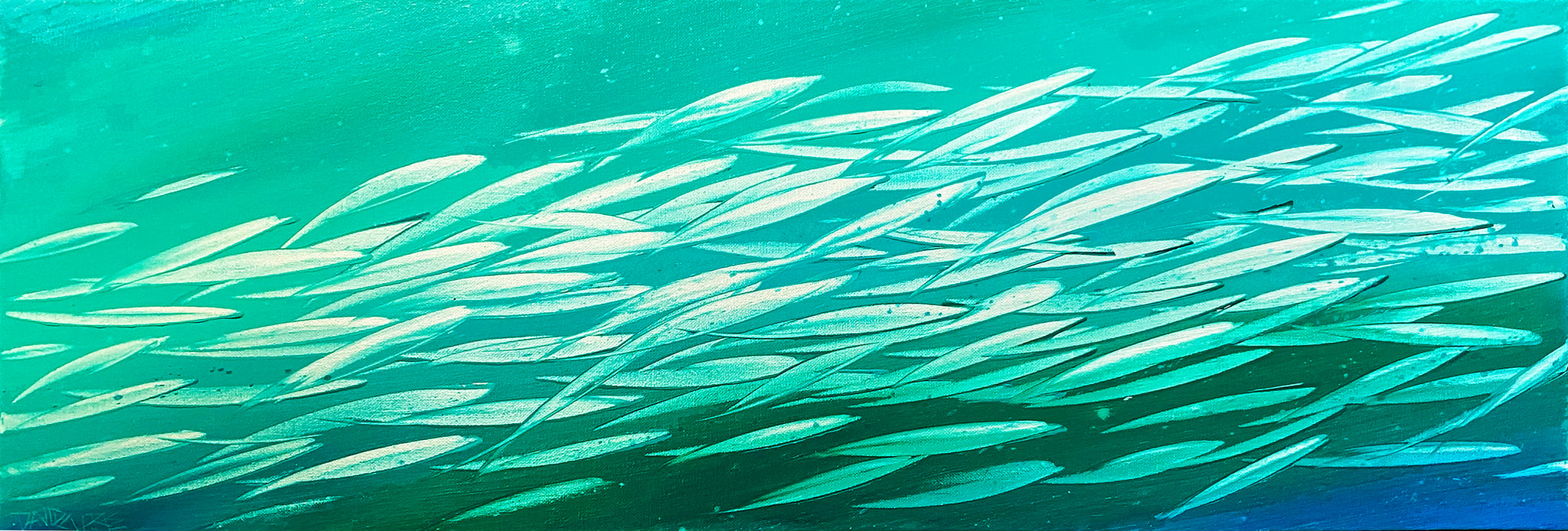 Fish – David Clare Art