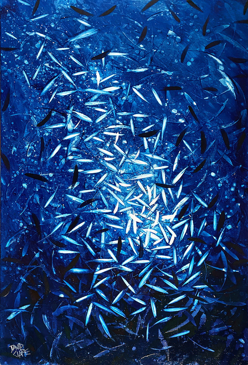 Fish – David Clare Art