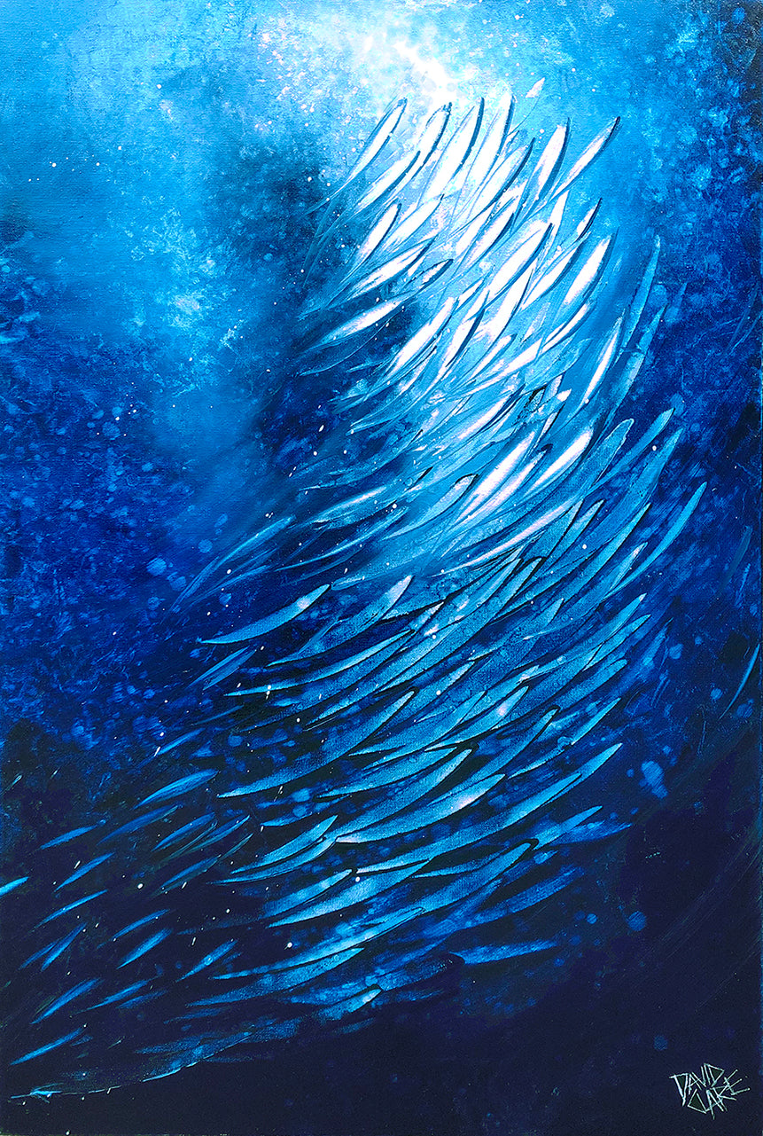 Fish – David Clare Art