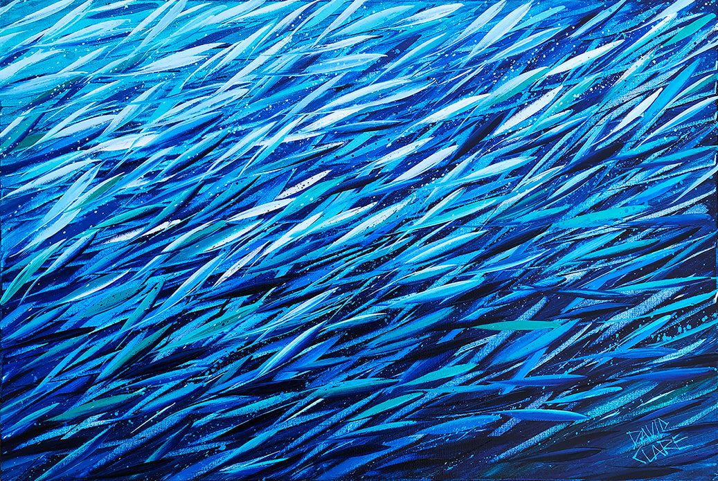 Fish – David Clare Art