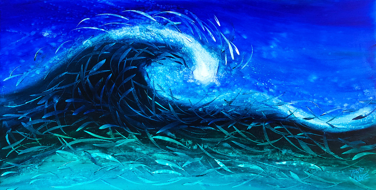 Wave Of Fish – David Clare Art